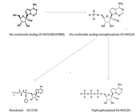 SAK IV GS 441524 (20mg/ml) feline infectious peritonitis(FIP & FIPV), 5 ...